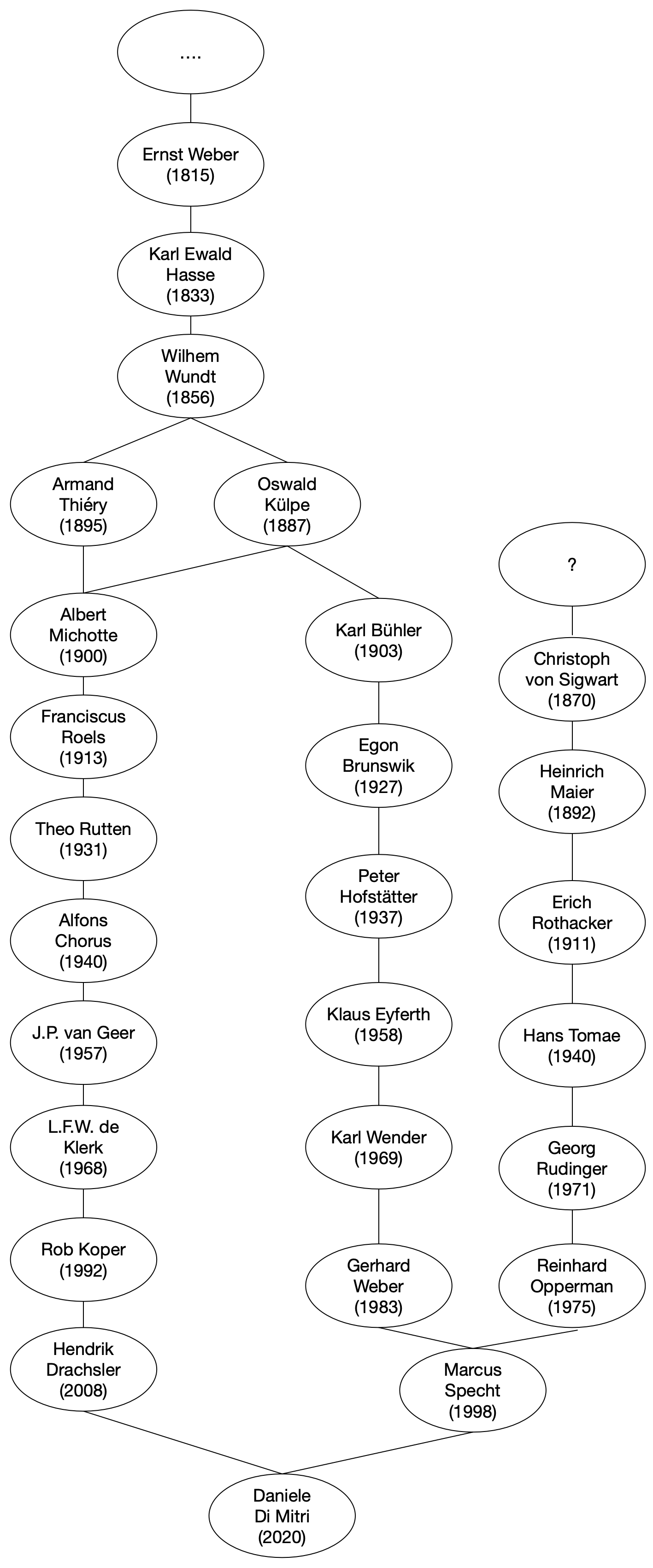 Promotion Tree – Dimstudio